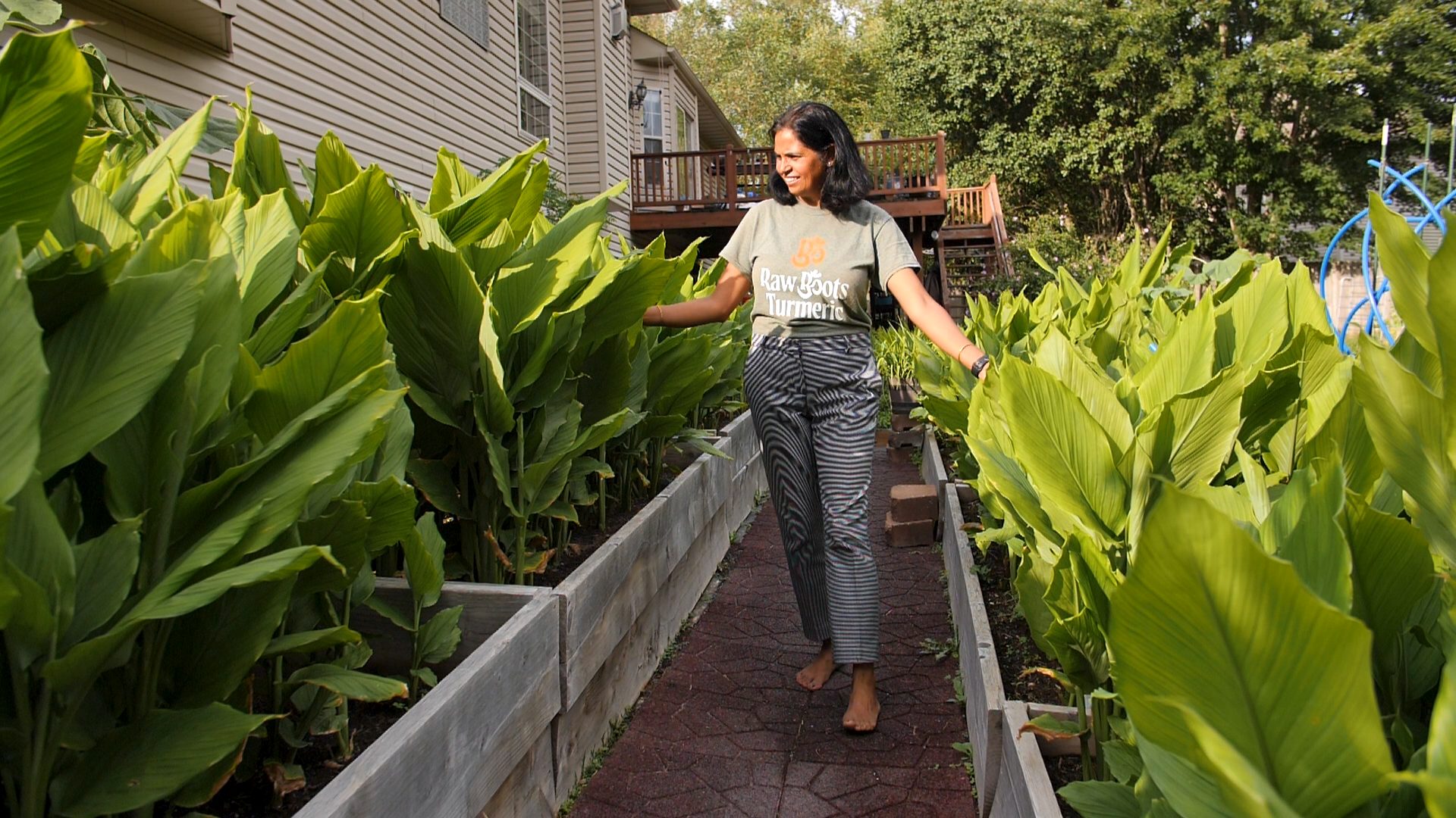 Raw Roots Turmeric: Ayurvedic Herbs w/ Ranjana Hans - Lena Samford